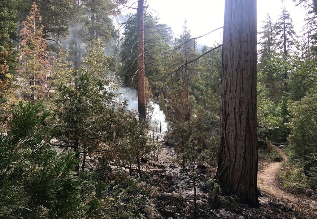 SEKI Loop Day 1: to Upper Vidette Meadow | Overseashiker