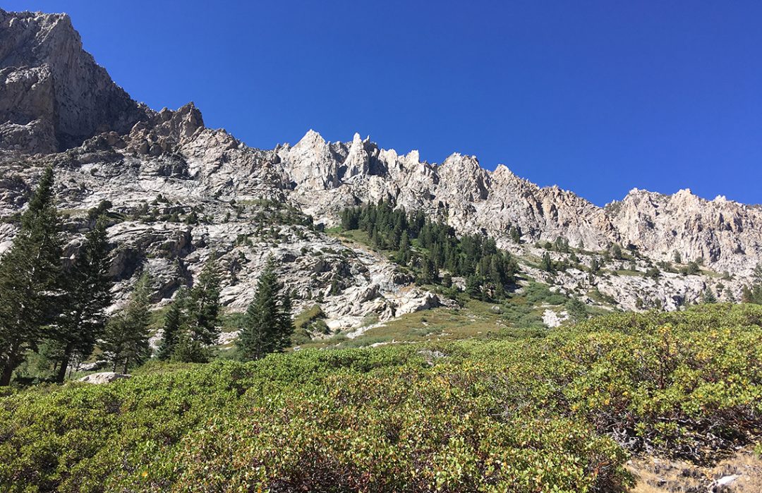 SEKI Loop Day 1: to Upper Vidette Meadow | Overseashiker