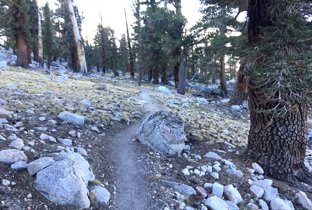 SEKI Loop day 3: to Kern Hot Springs | Overseashiker