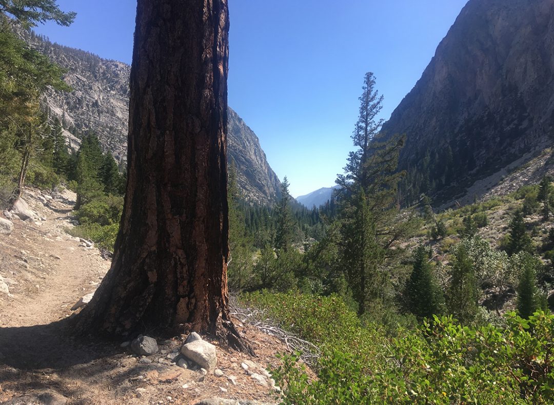SEKI Loop day 3: to Kern Hot Springs | Overseashiker