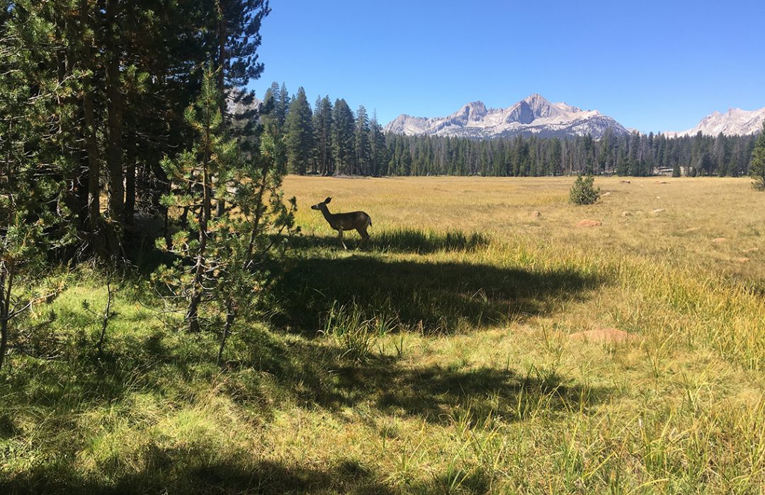 SEKI Loop Day 4: a climb to Moraine Lake | Overseashiker