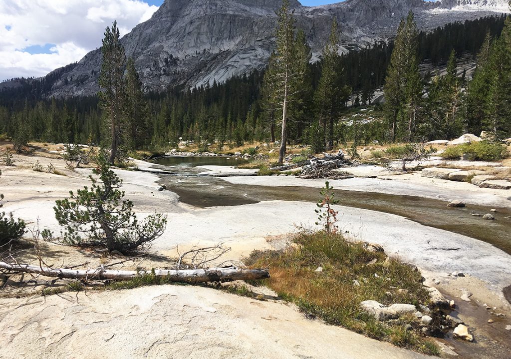 SEKI Loop Day 5: to Hamilton Lake | Overseashiker