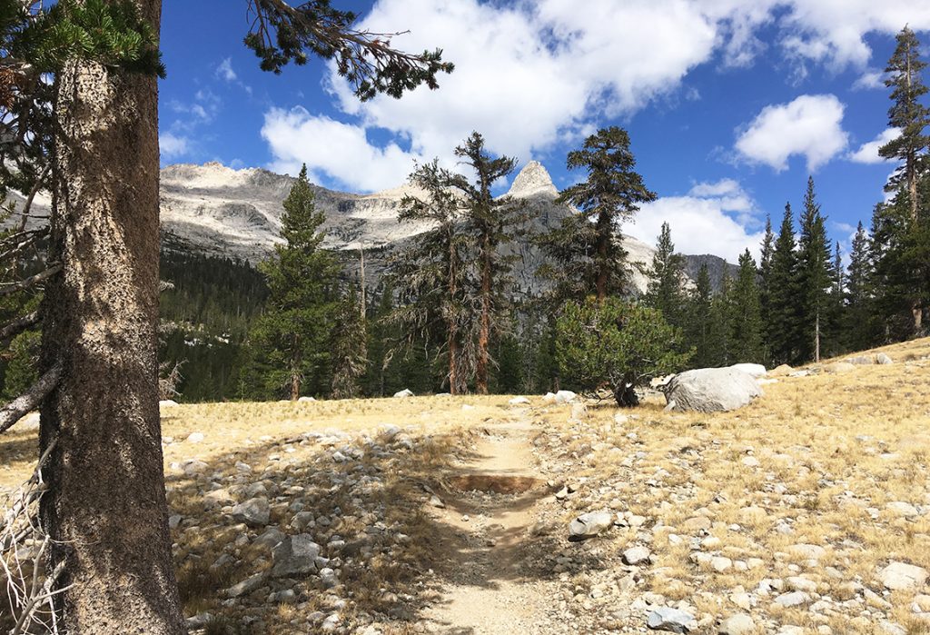 SEKI Loop Day 5: to Hamilton Lake | Overseashiker