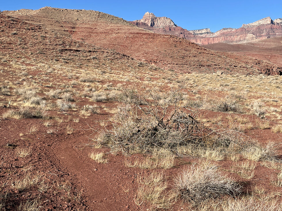 Escalante Route, Grand Canyon, Day 2 | Overseashiker